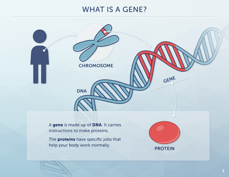 Genetic Counseling Aides - MyriadMyRisk